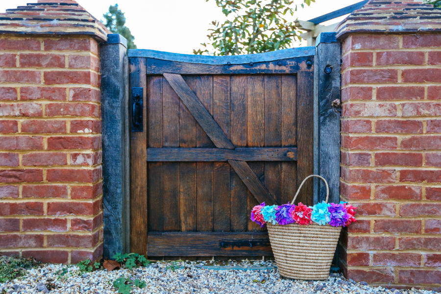 Ragged Life Blog | Ragged-Life-68 - Ragged Life Blog