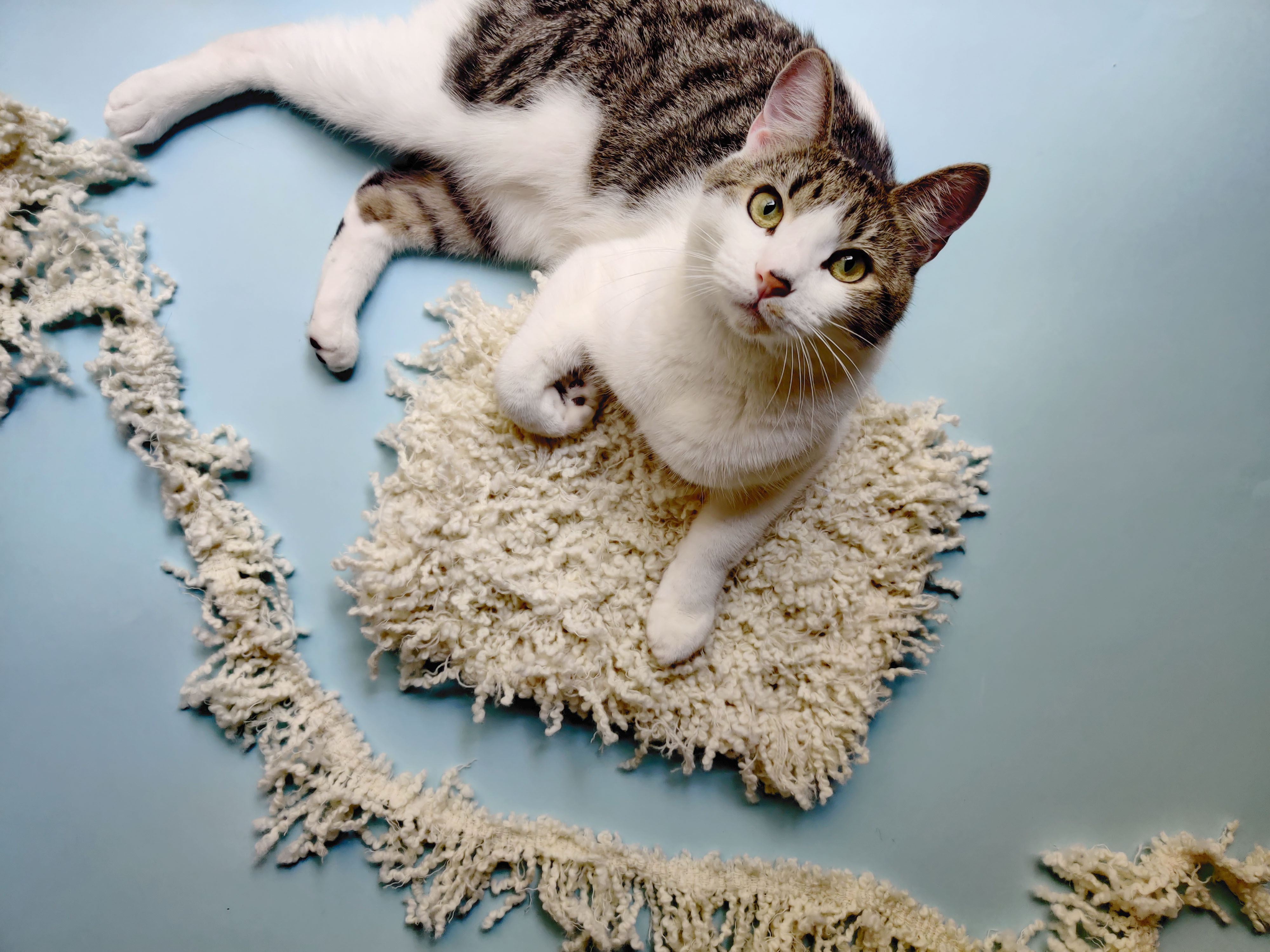 Ragged Life Blog | Beautiful Twined Rug Designs - Ragged Life Blog